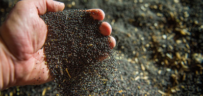 Foodbusiness.nl - Eetbare oliën