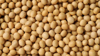 Foodbusiness.nl - Eetbare oliën