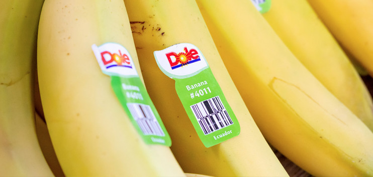Dole verkoopt minder bananen in Europa - Nieuws Kwartaalcijfers | Foodbusiness.nl