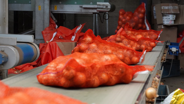 Aanbod van nieuwe uien komt voorzichtig los - Analyse Uien ...