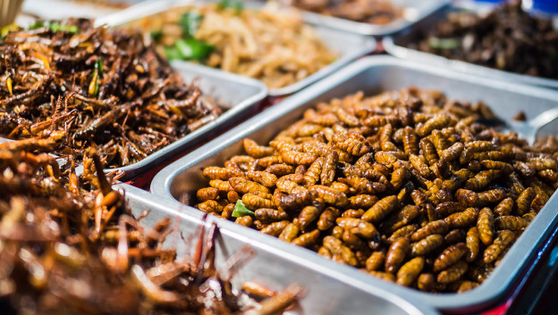 'HIK helpt bij verdere ontwikkeling insectenketen' - Interview HIK | Foodbusiness.nl