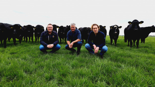 'Nederlands Angusrund heeft flinke potentie' - Food People Dutch Angus ...